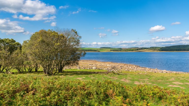 Home - Swinburne, Snowball and Jackson